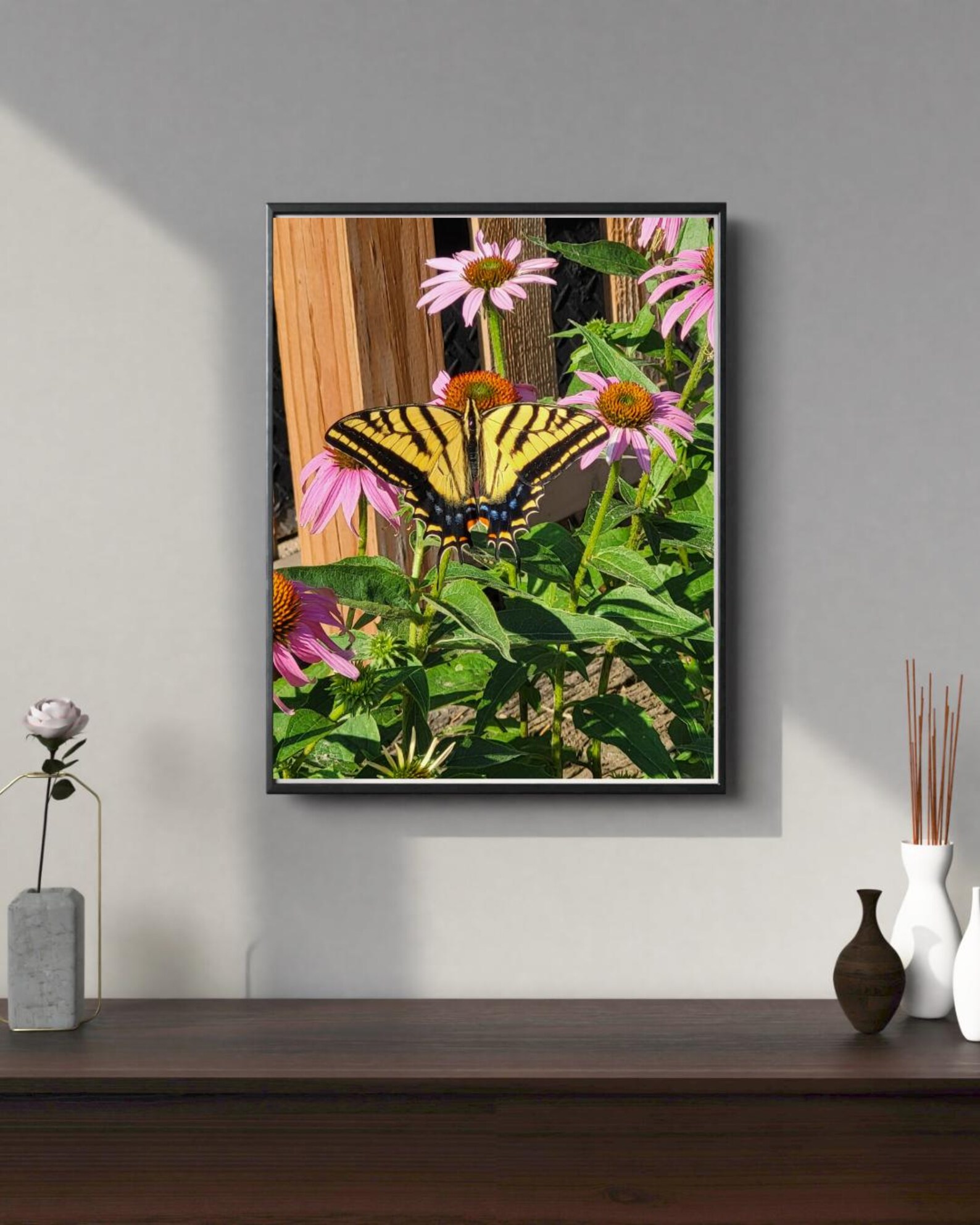 Monarch Butterfly on Cone Flowers - Etsy
