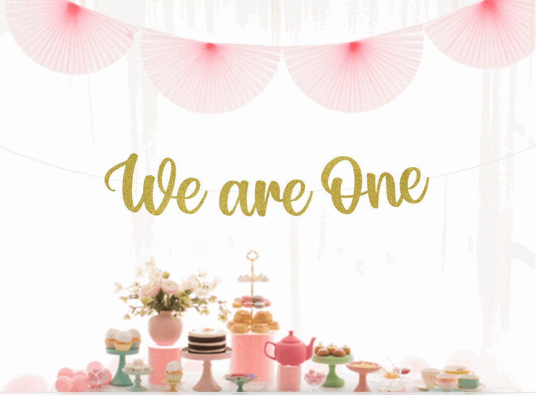 Twin Baby's First Birthday Banner, We Are One Banner, Triplets Birthday ...