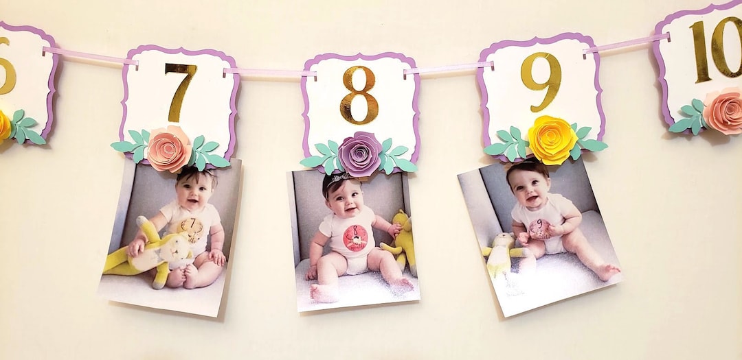 12 Month Photo Banner, 1st Birthday Photo Banner, Monthly Photo Banner ...