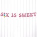 Six is Sweet Birthday Banner, Sassy Sweet and Six, 6th Birthday, Choose ...