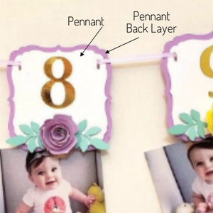 12 Month Photo Banner 1st Birthday Photo Banner Monthly | Etsy