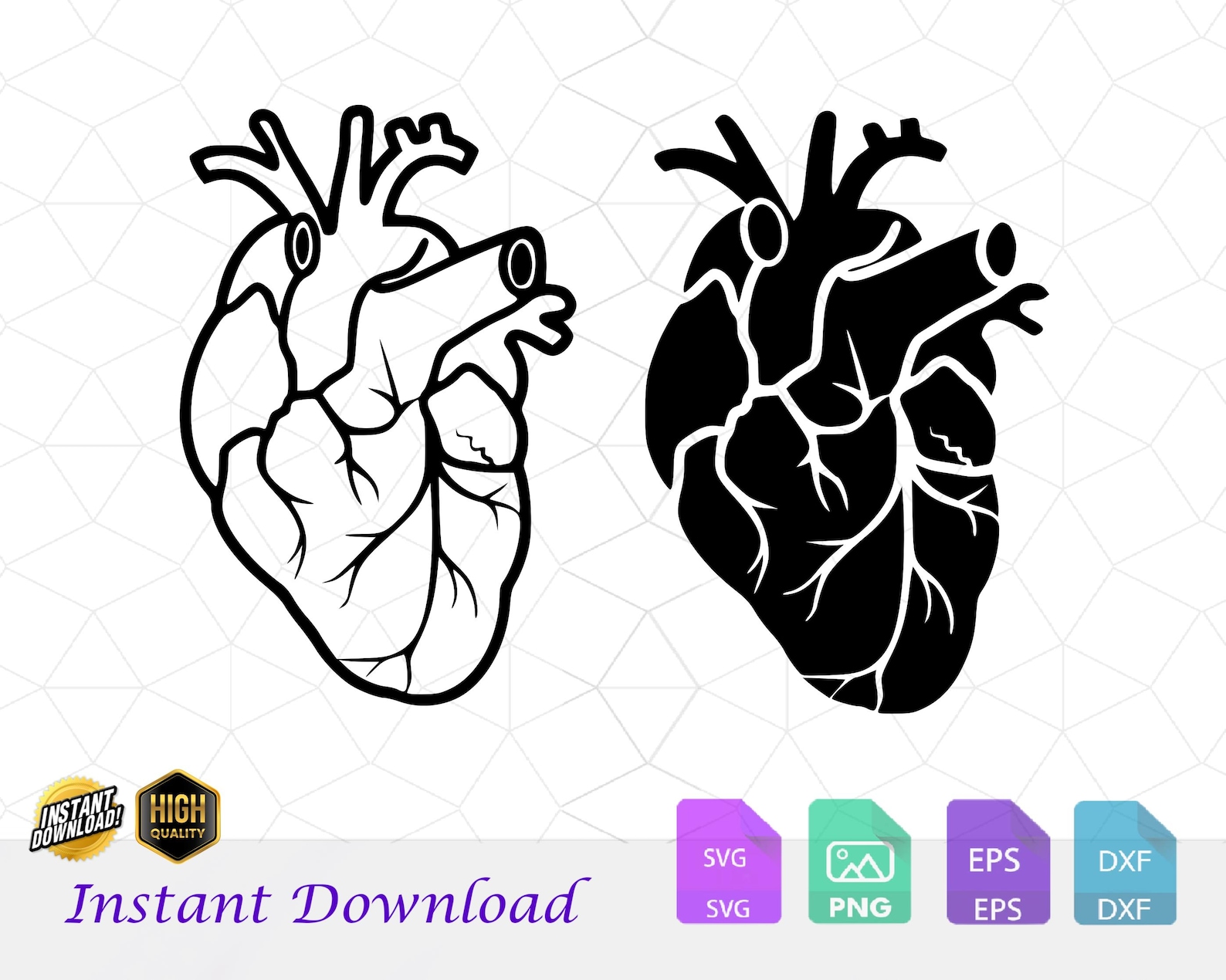 Anatomical Heart Svg, Heart Svg, Human Heart Clip Art Decal, Nurse Life ...
