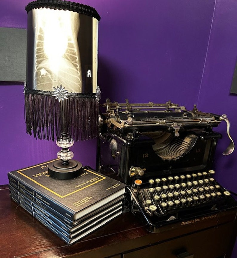 X-ray Accent Lamp Oddities Curiosity Medical Collectible Veterinary ...