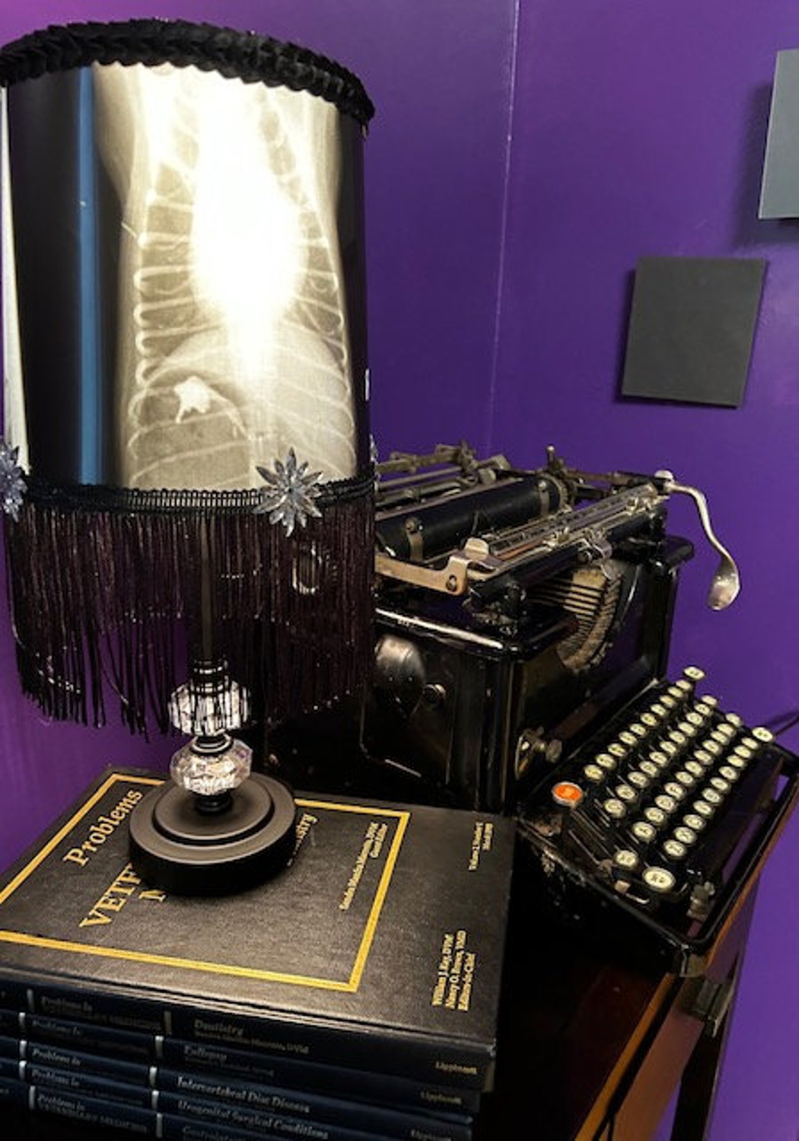 X-ray Accent Lamp Oddities Curiosity Medical Collectible Veterinary ...