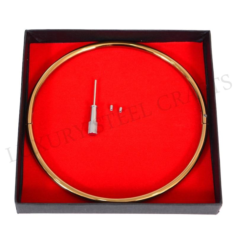 Titanium Eternity Collar - Etsy