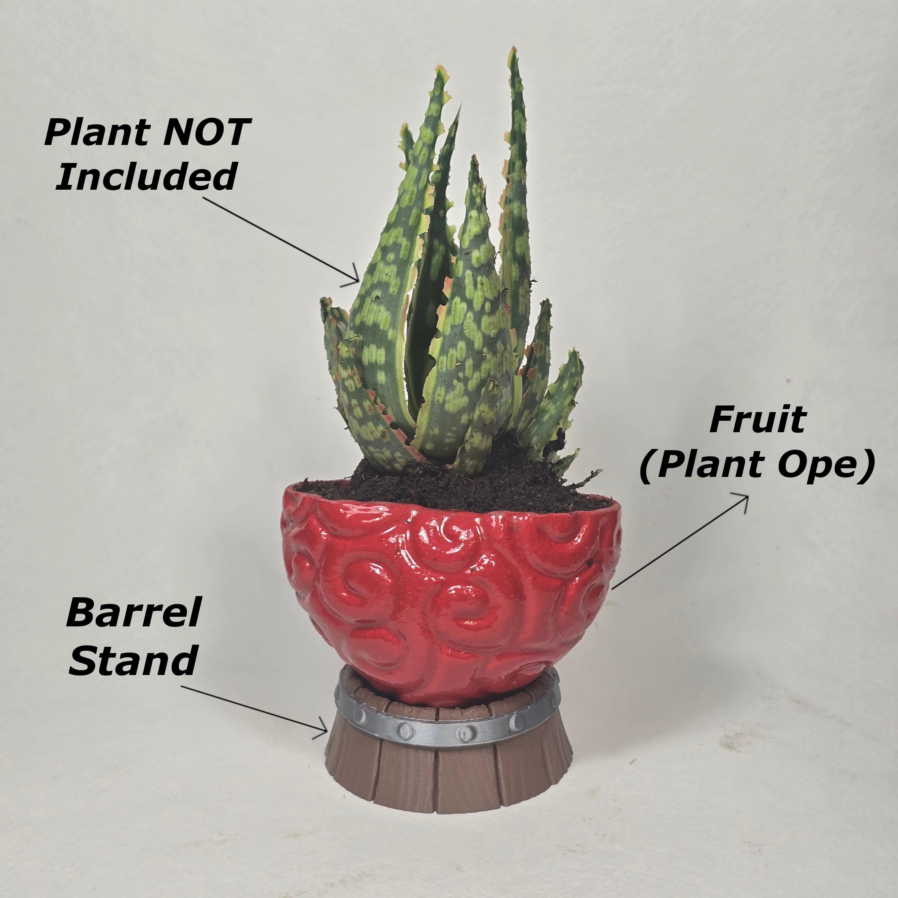 Anime-inspired Devil Fruit akuma No Mi Plant Holder - Etsy
