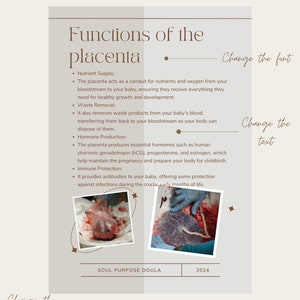 Placenta Handout, Placenta Encapsulation Contract, Instant Download ...