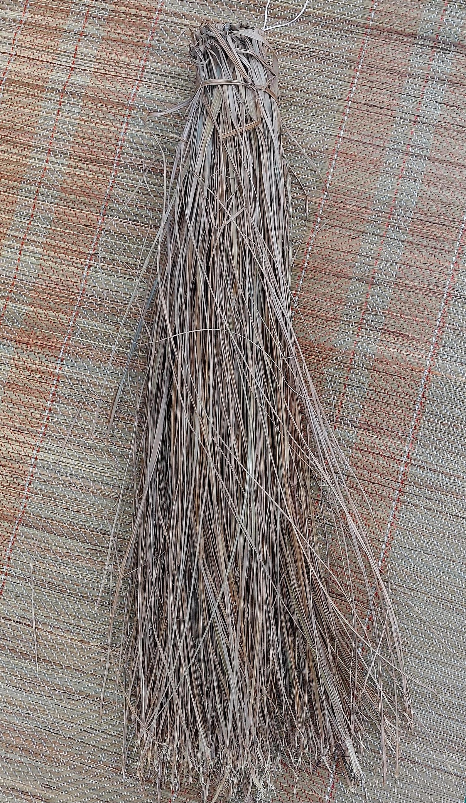 Mariwo 100% Palm Leaves 30" for Batea Ogun Shango Batea Igbodu Iyawo ...