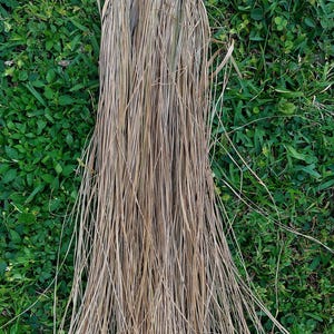Mariwo 100% Palm Leaves 30" for Batea Ogun Shango Batea Igbodu Iyawo ...