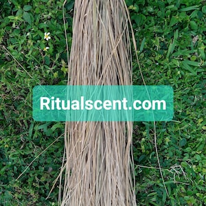 Mariwo 100% Palm Leaves 30" for Batea Ogun Shango Batea Igbodu Iyawo ...