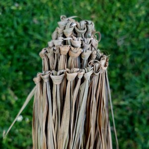 Mariwo 100% Palm Leaves 30" for Batea Ogun Shango Batea Igbodu Iyawo ...
