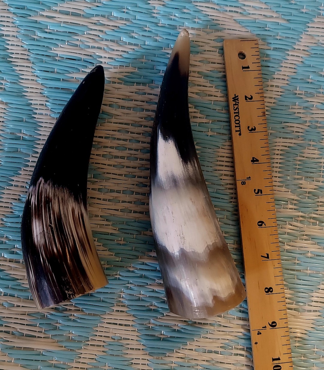 Oge Oggue Horns for Shango Tarros De Buey Para Chango Orisha Ogge Pair ...