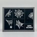 Halloween Spider Web Postage Collage Stamp - Etsy