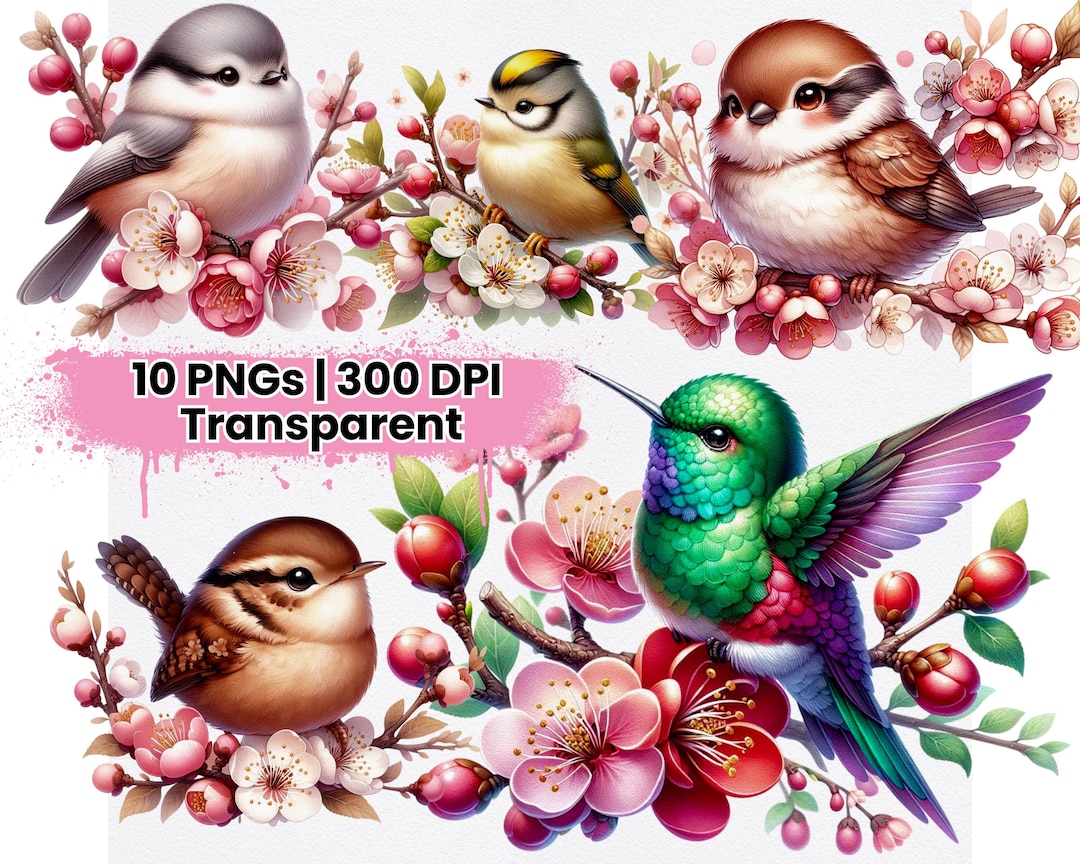 Watercolor Floral Birds Clipart Bundle, Spring Bird Clipart, Plum ...