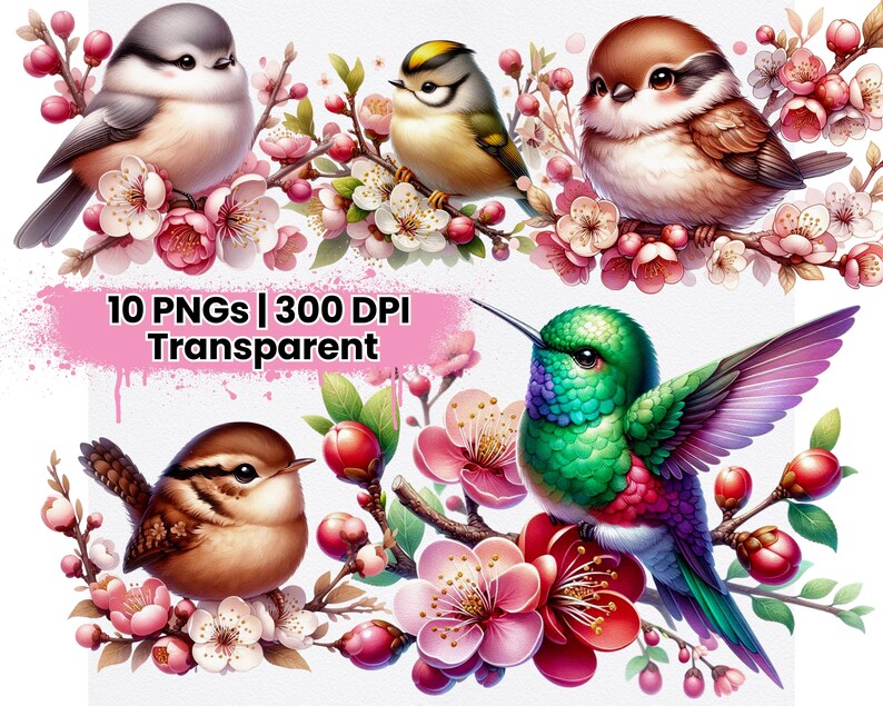 Watercolor Floral Birds Clipart Bundle, Spring Bird Clipart, Plum ...