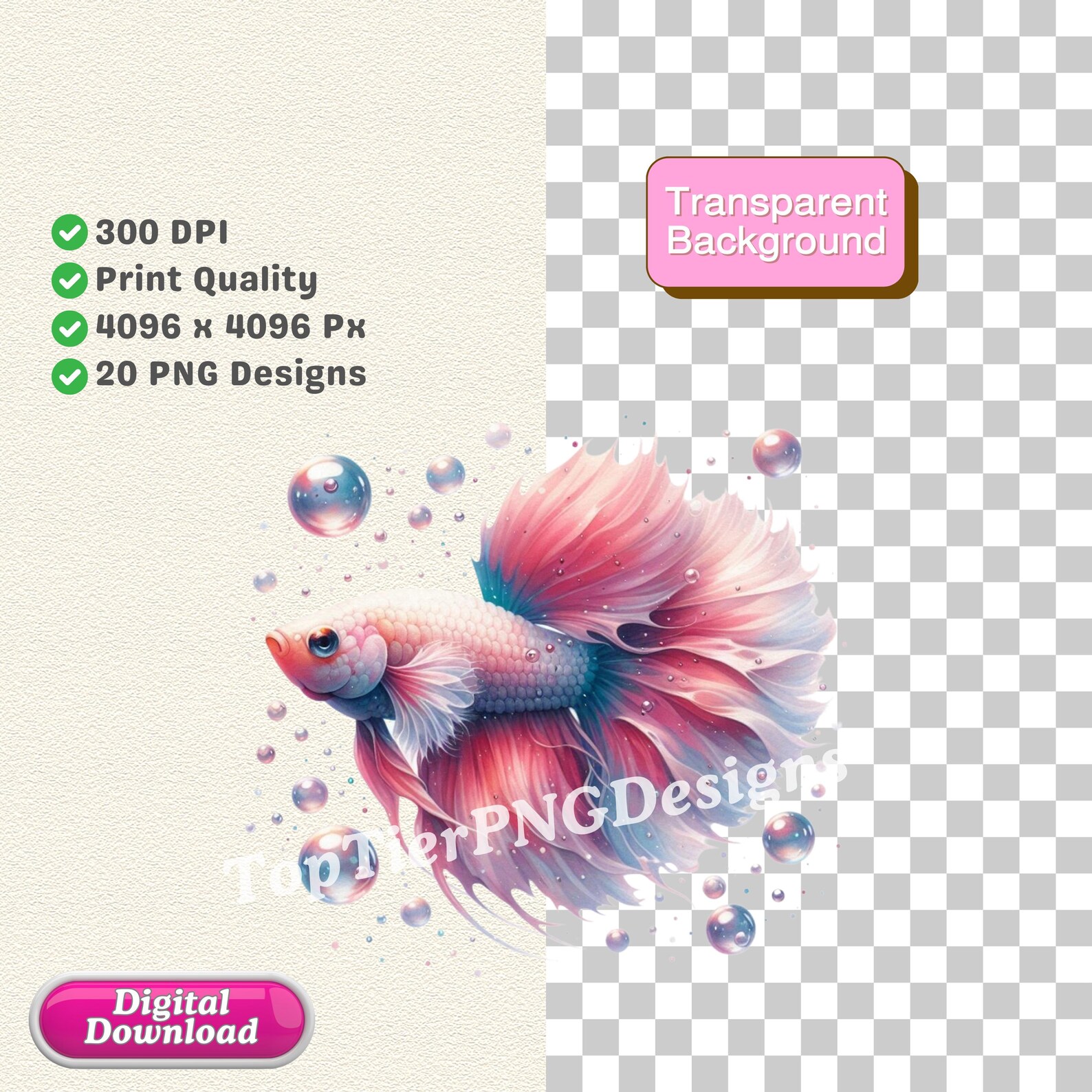 Watercolor Betta Fish Clipart Bundle: Colorful Fish Art (digital ...