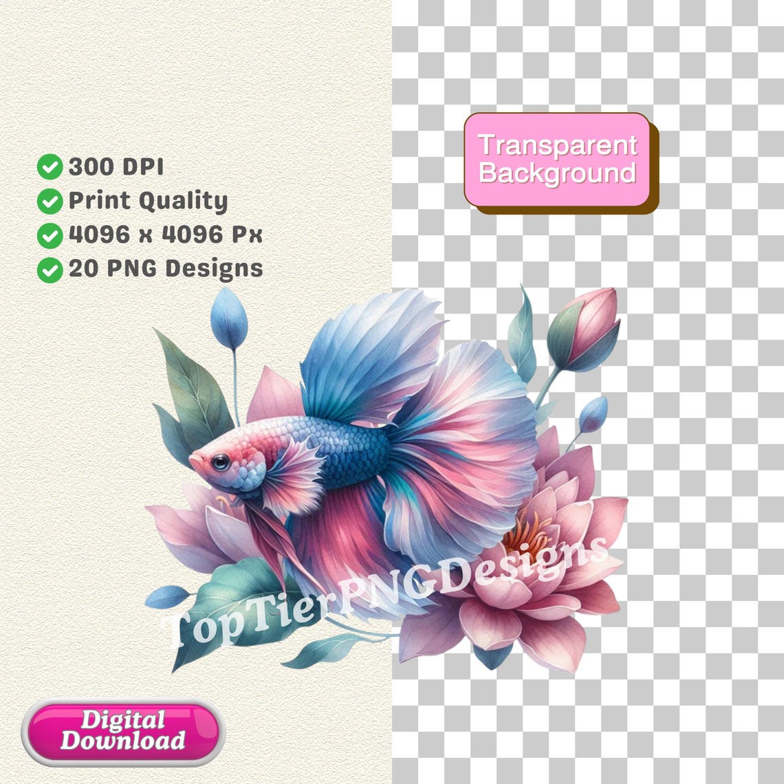 Watercolor Betta Fish Clipart Bundle: Colorful Fish Art (digital ...