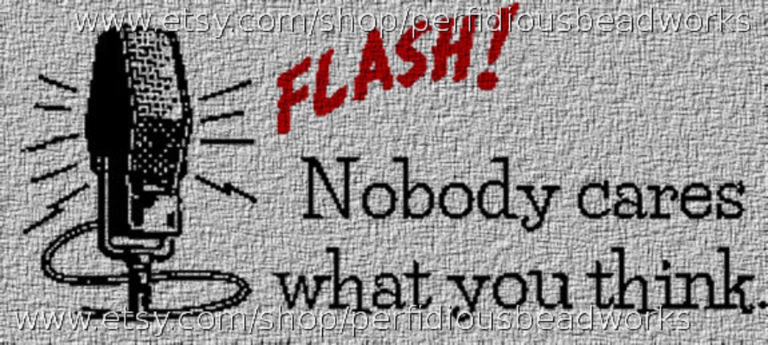 PATTERN: Nobody Cares What You Think Cross Stitch Chart - Etsy