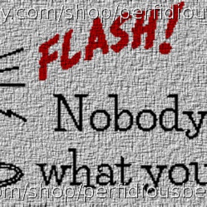 PATTERN: Nobody Cares What You Think Cross Stitch Chart - Etsy