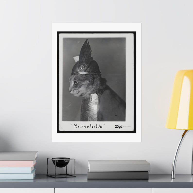 Vintage Cat Photo Poster Classic Viking Brunnhilde Cat Art 18 X 24 & 20 ...