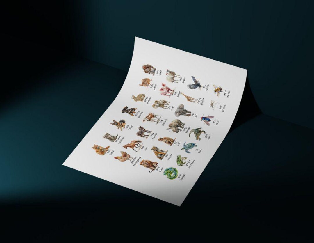 Hebrew Animals Poster: Learn and Pronounce - Etsy