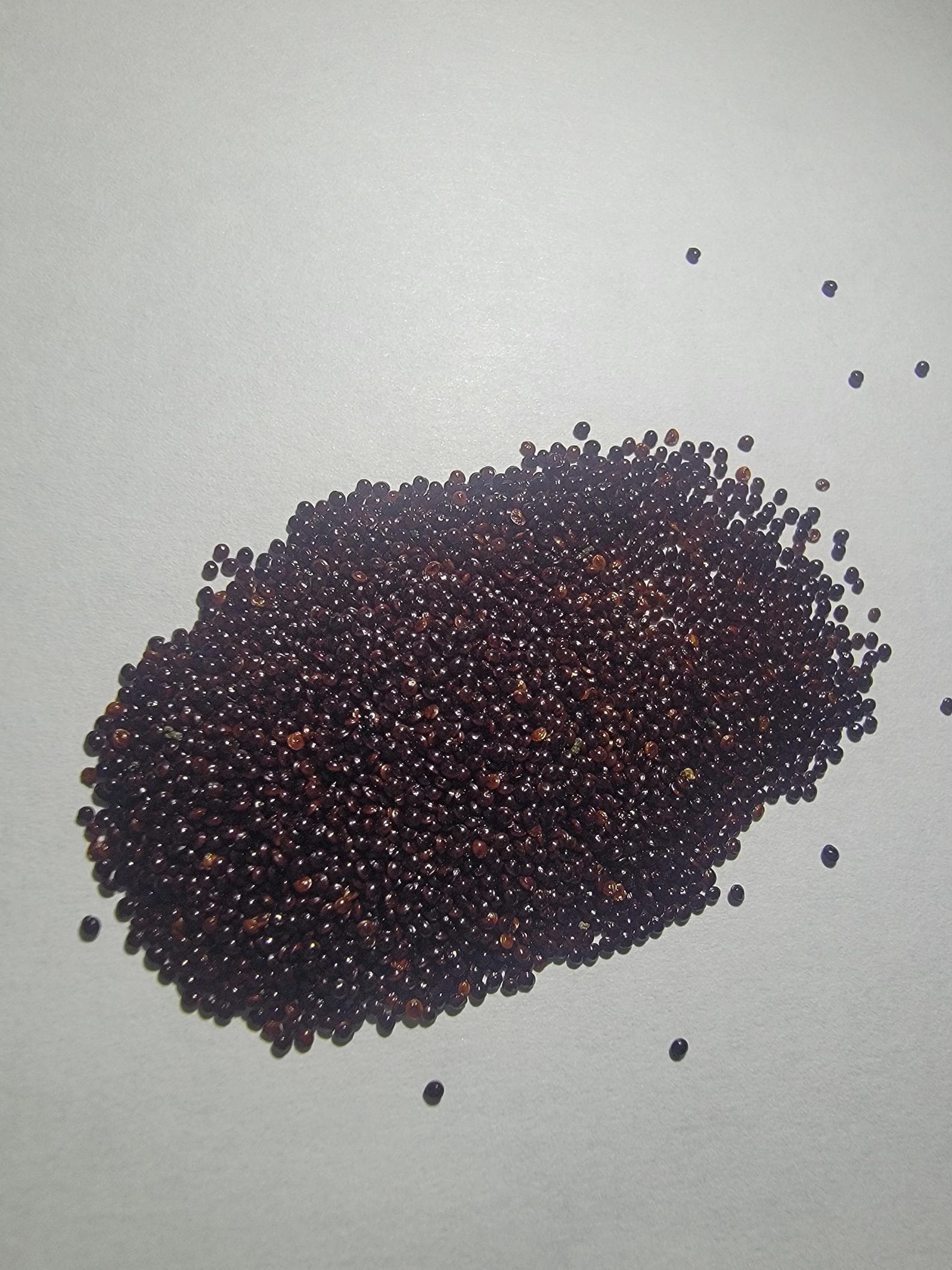 Lagos Spinach Seeds | Efo Tete | Green Amaranth | Pack of 200 Seeds - Etsy