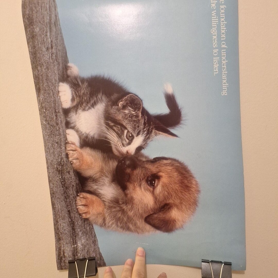 Kitten Poster 1987 Argus, Kitten and Dog. the Foundation of ...