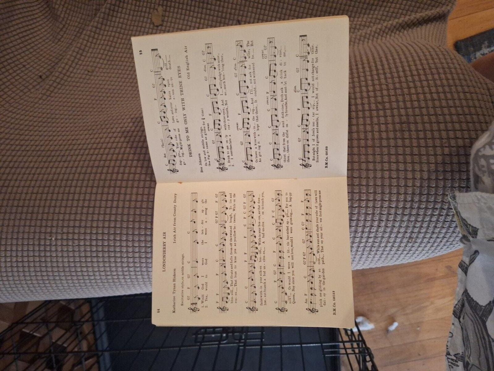 How to Play the Autoharp - Etsy