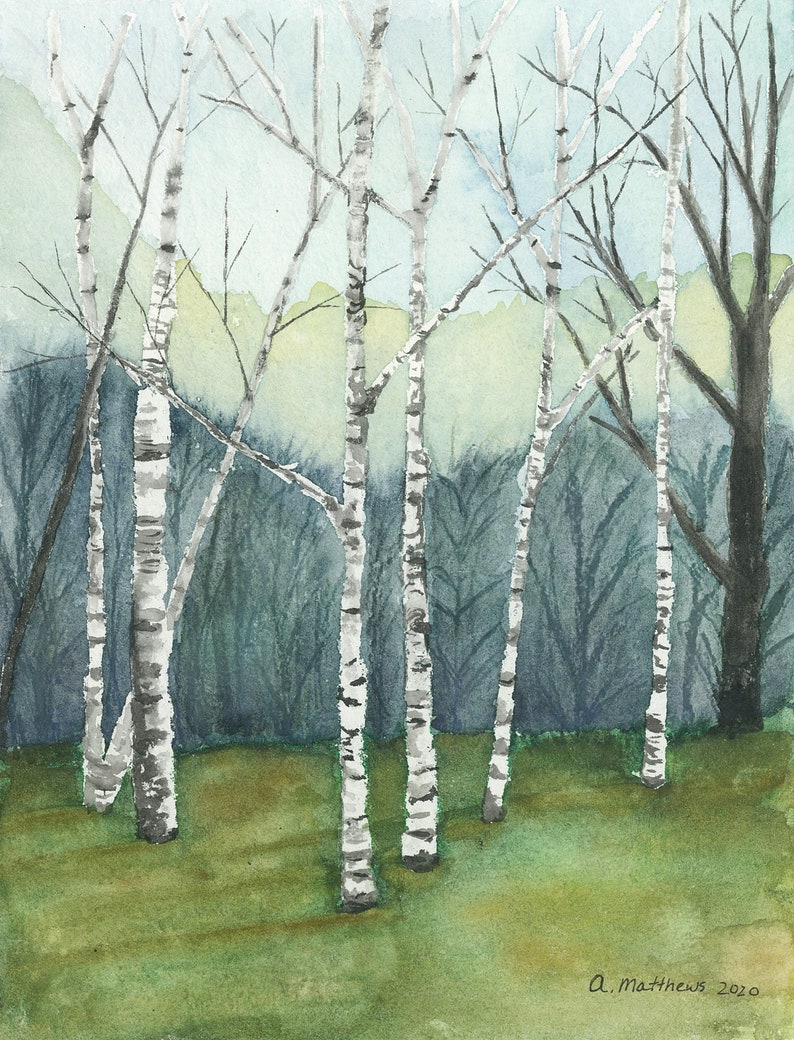 Birch Trees 2 Greeting Card - Etsy
