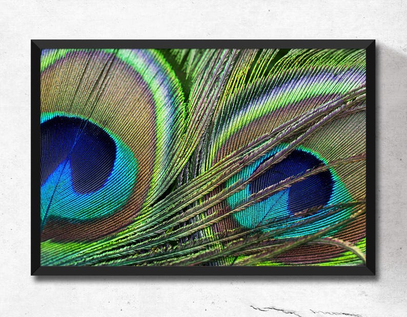 Peacock Eye Feather Printable Photo. Nature Digital Print. Abstract ...