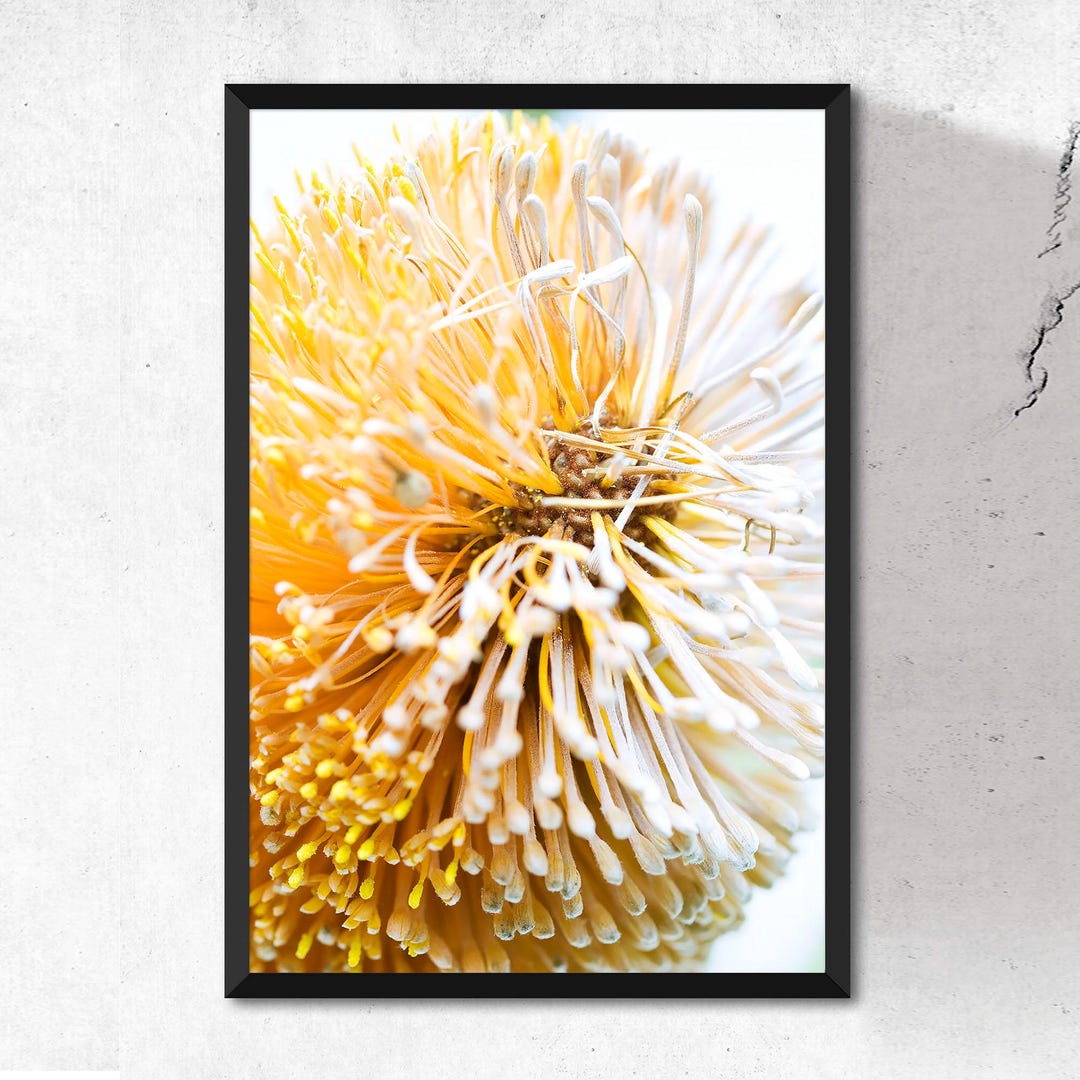 Furry Flower Printable Photo. Yellow Wall Art. Flower Wall Art. Nature ...