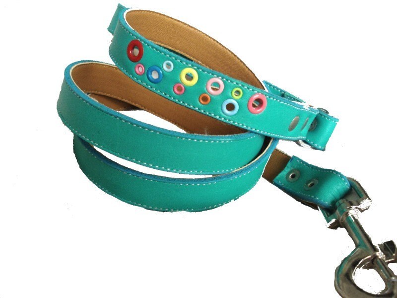 Loki Puppy Leather Dog Leash Turquoise | Etsy