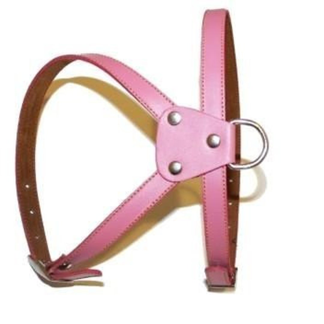 Girly Pink Leather Dog Harness - Etsy