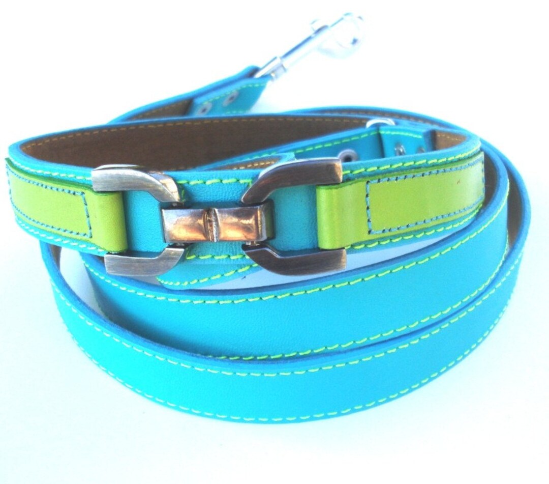 Cool Leather Dog Leash Turquoise and Lime - Etsy