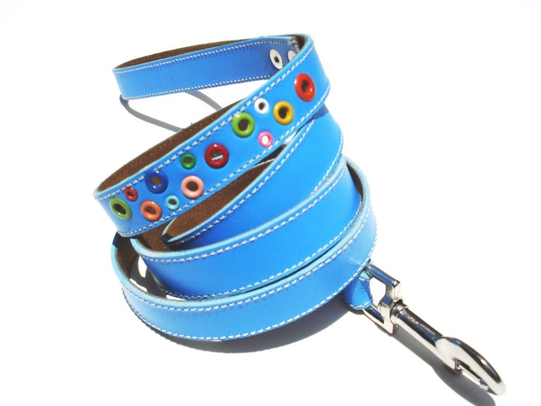 Loki Puppy Leather Dog Leash Sky Blue - Etsy