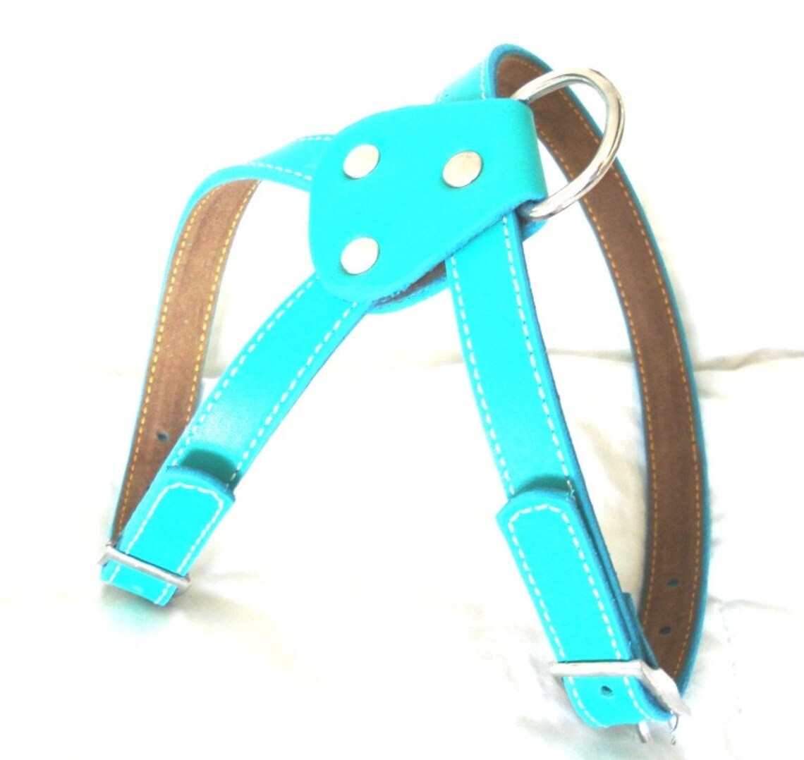 Cool Turquoise Leather Dog Harness - Etsy