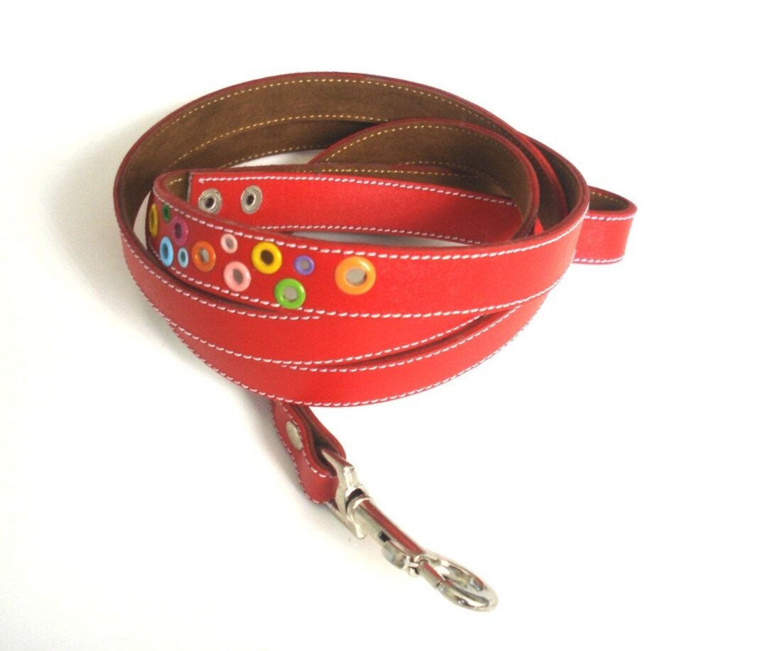 Loki Puppy Leather Dog Leash Red - Etsy
