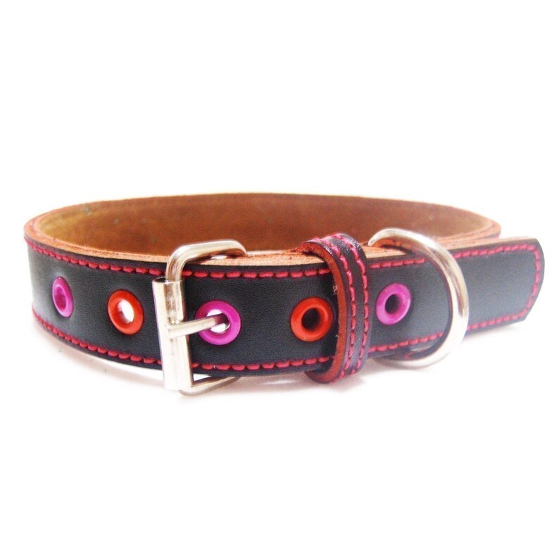 Cool Leather Dog Collar Black With Neon Colors - Etsy