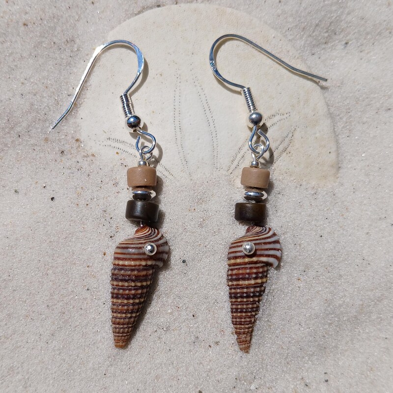 Zebra Shell Earrings - Etsy