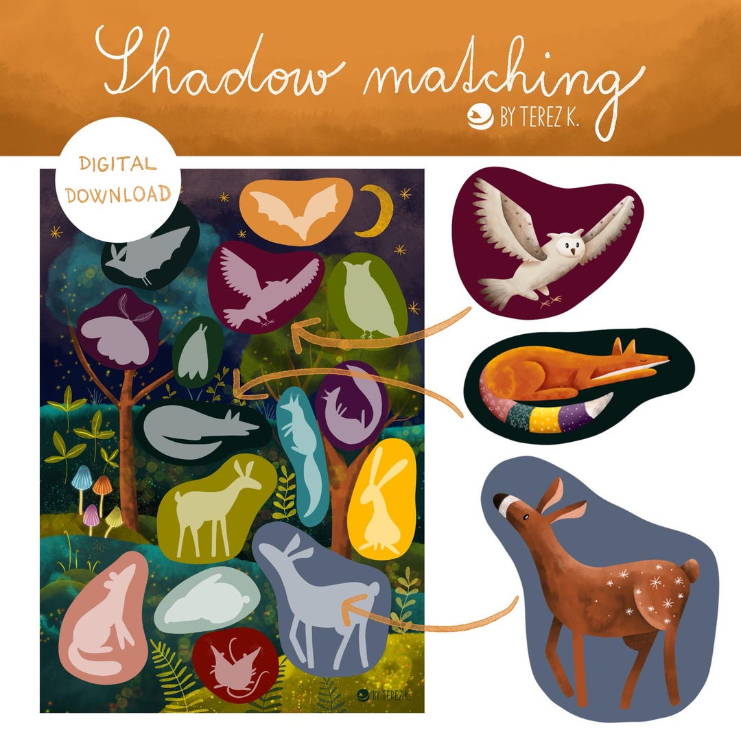 Cute Animals Shadow Matching for Kids Velcro Game Printable - Etsy