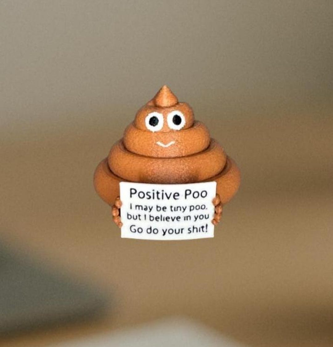 3D Printed Positive Poo Figure: Funny Desk Decor, Cheer up Gift - Etsy