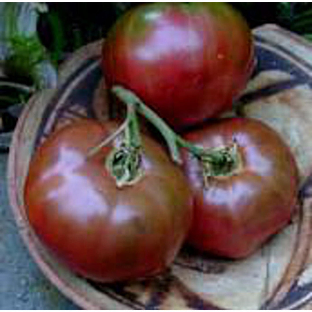 Indian Stripe Tomato Seeds - Etsy
