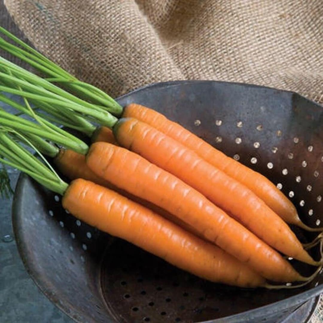 Yaya F1 Hybrid Carrot Seeds - Etsy