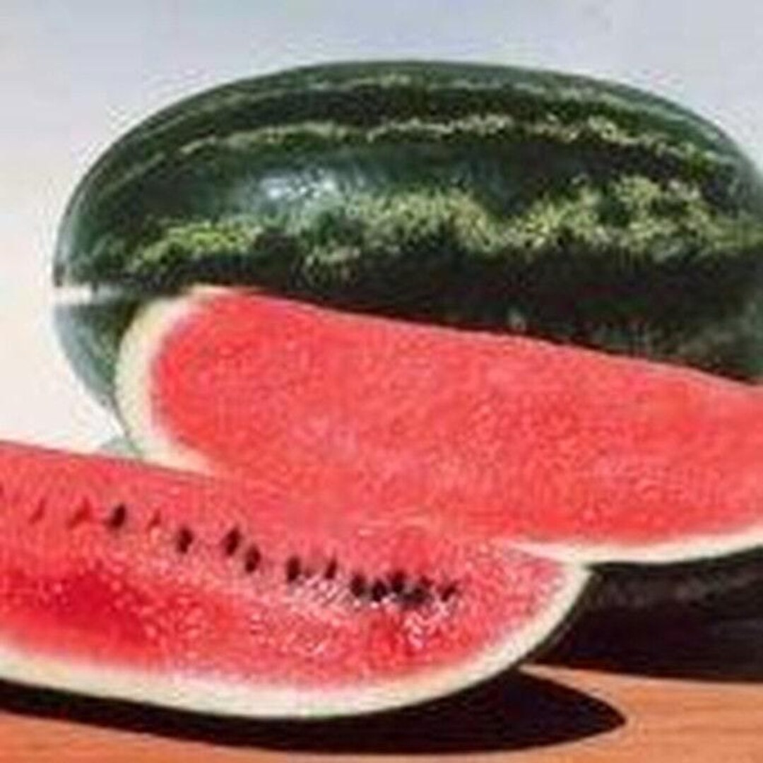 Congo Watermelon Seeds - Etsy