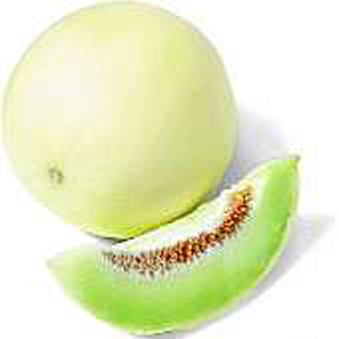 Tam Dew Improved Melons Seeds - Etsy