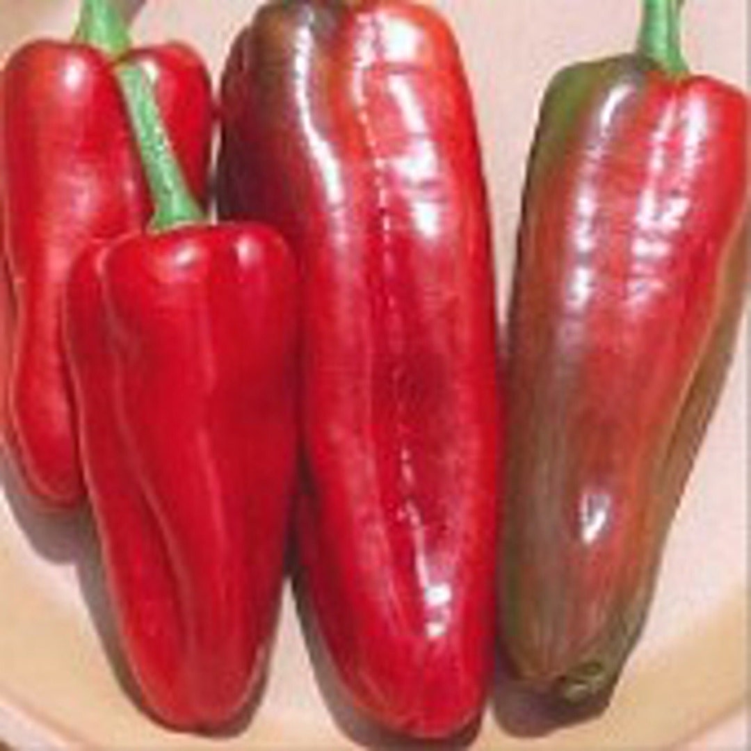 Marconi Sweet Peppers (red Patio) Seeds - Etsy