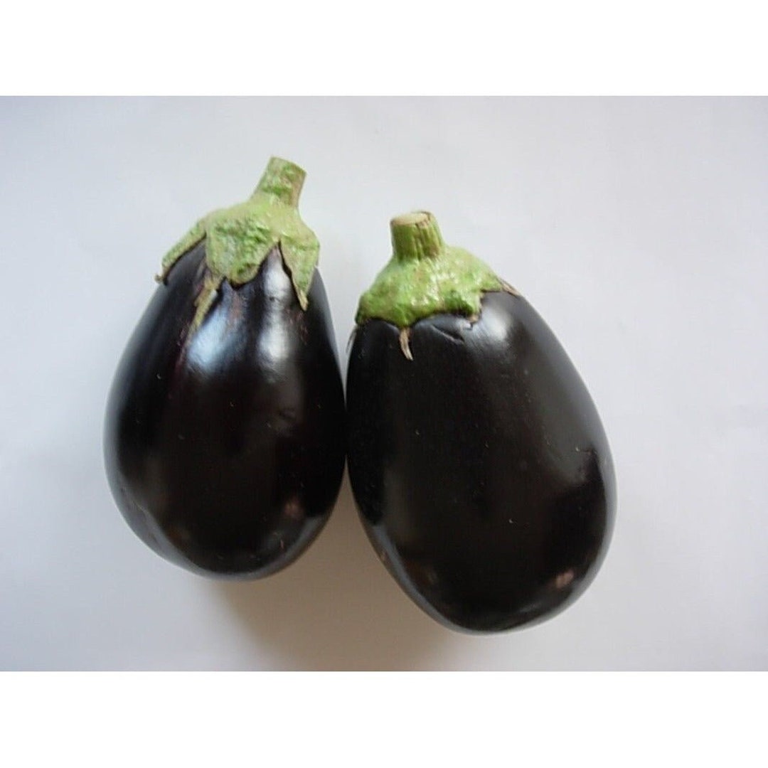 Kyoto Egg Hybrid Eggplant Seeds - Etsy