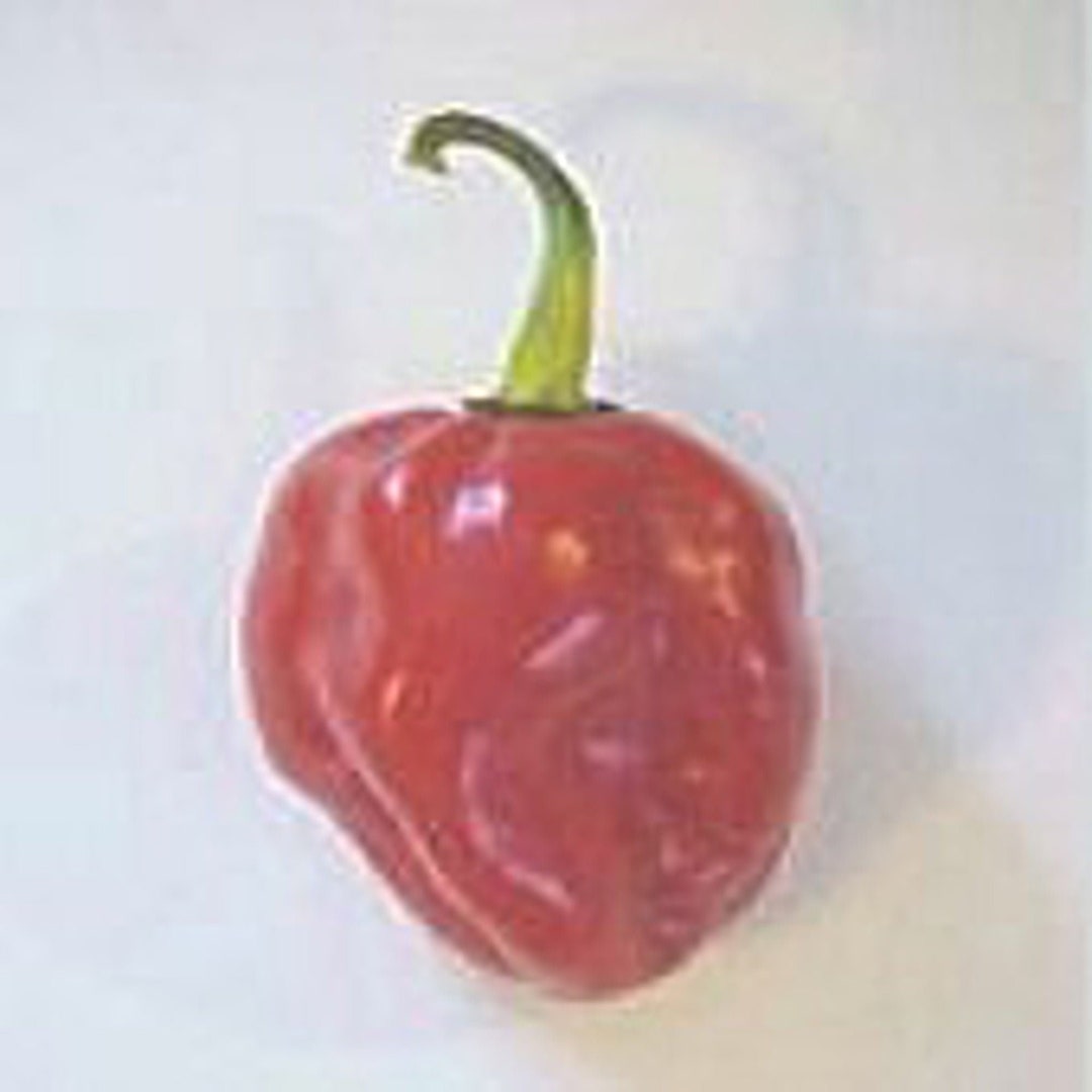 Habanero Hot Peppers (congo Red) Seeds - Etsy