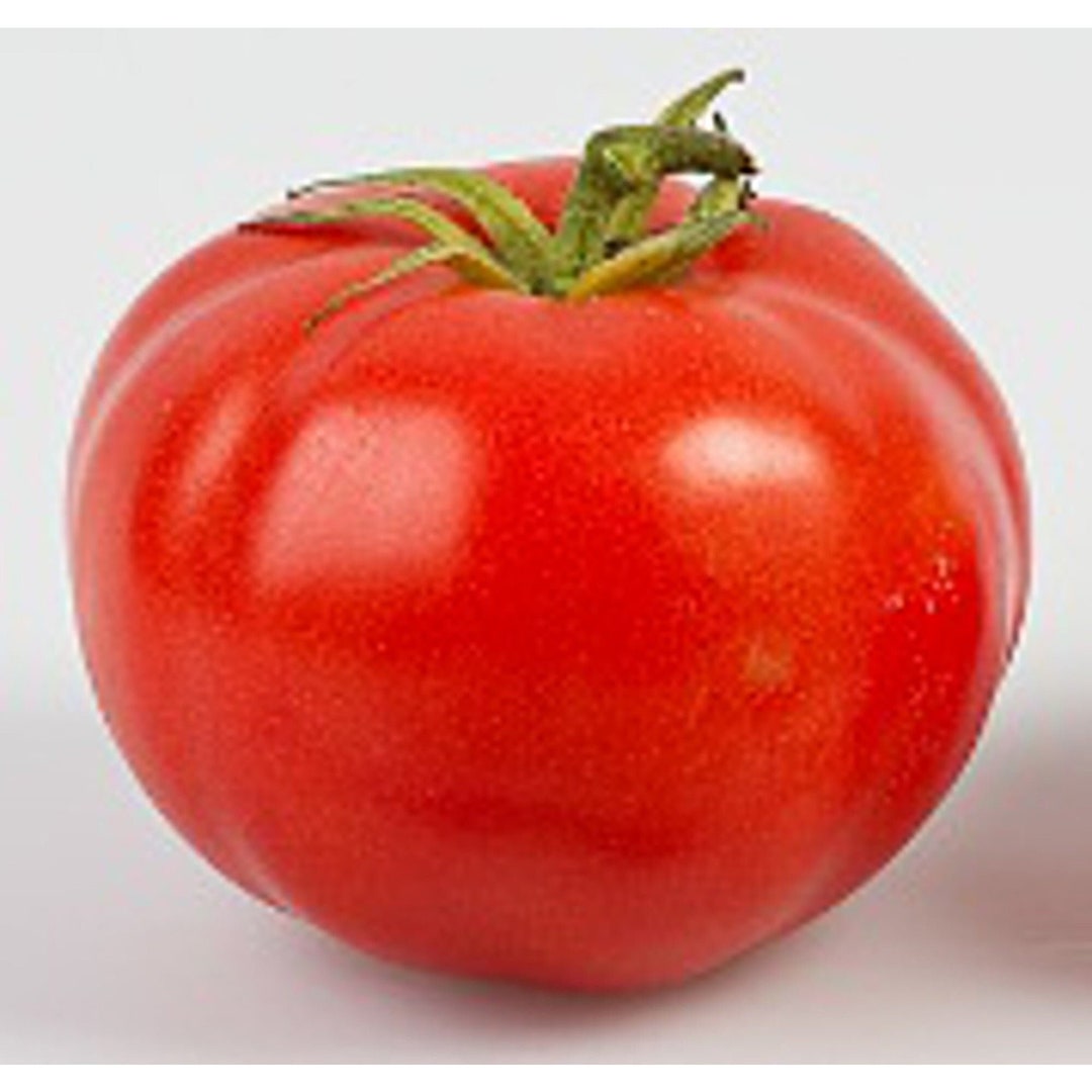 Chalk's Early Jewel Tomato Seeds - Etsy