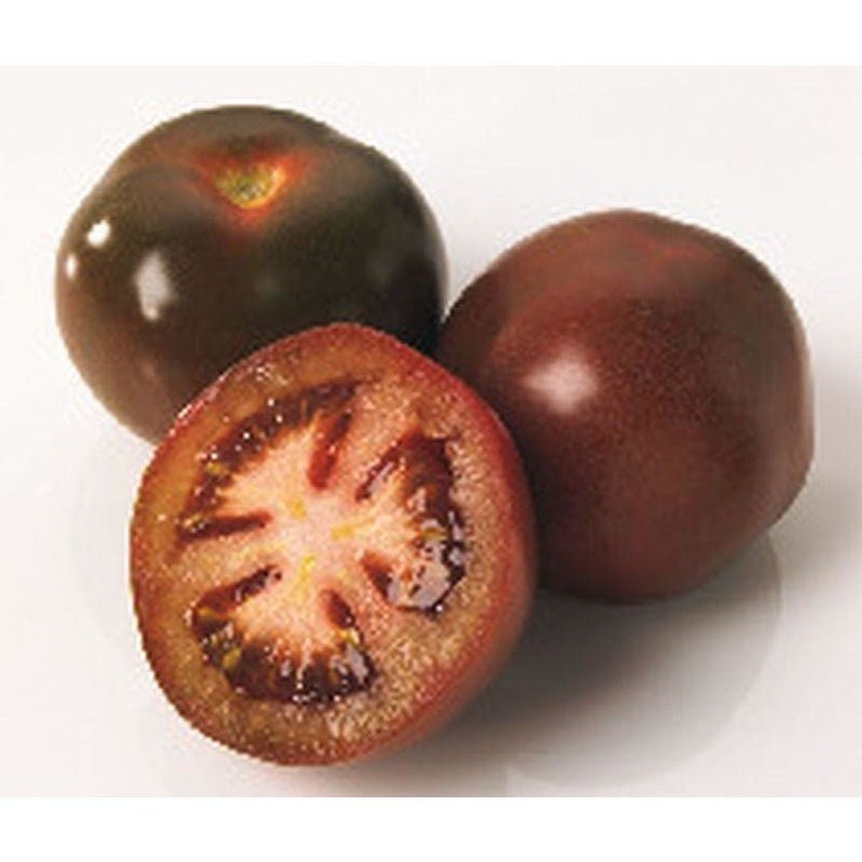Brown Tomato Seeds - Etsy